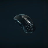 Catalog – InfinityMice